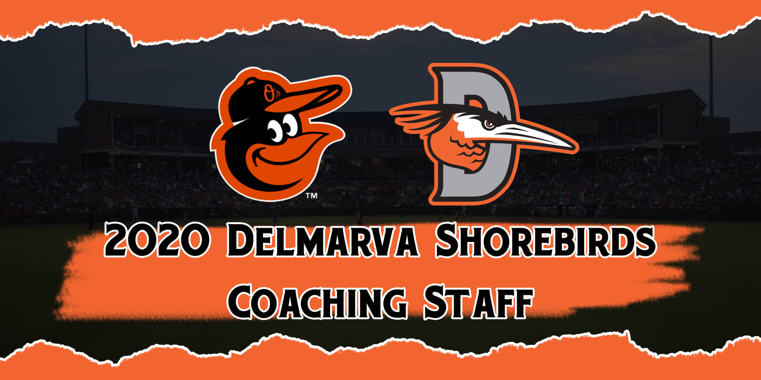 New Field Staff to Lead 2020 Shorebirds | MiLB.com