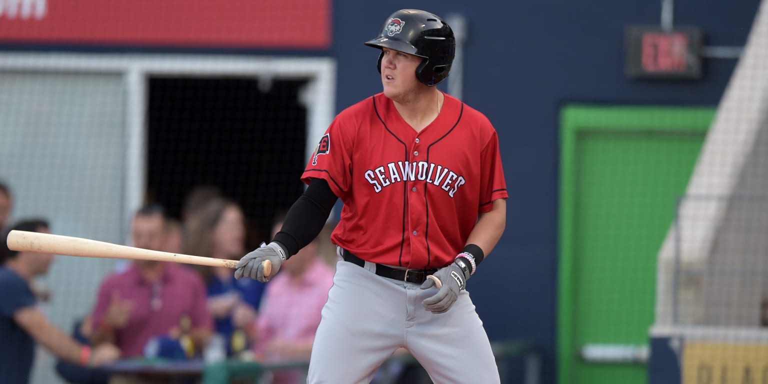 SeaWolves Comeback Falls Short on Sunday | MiLB.com