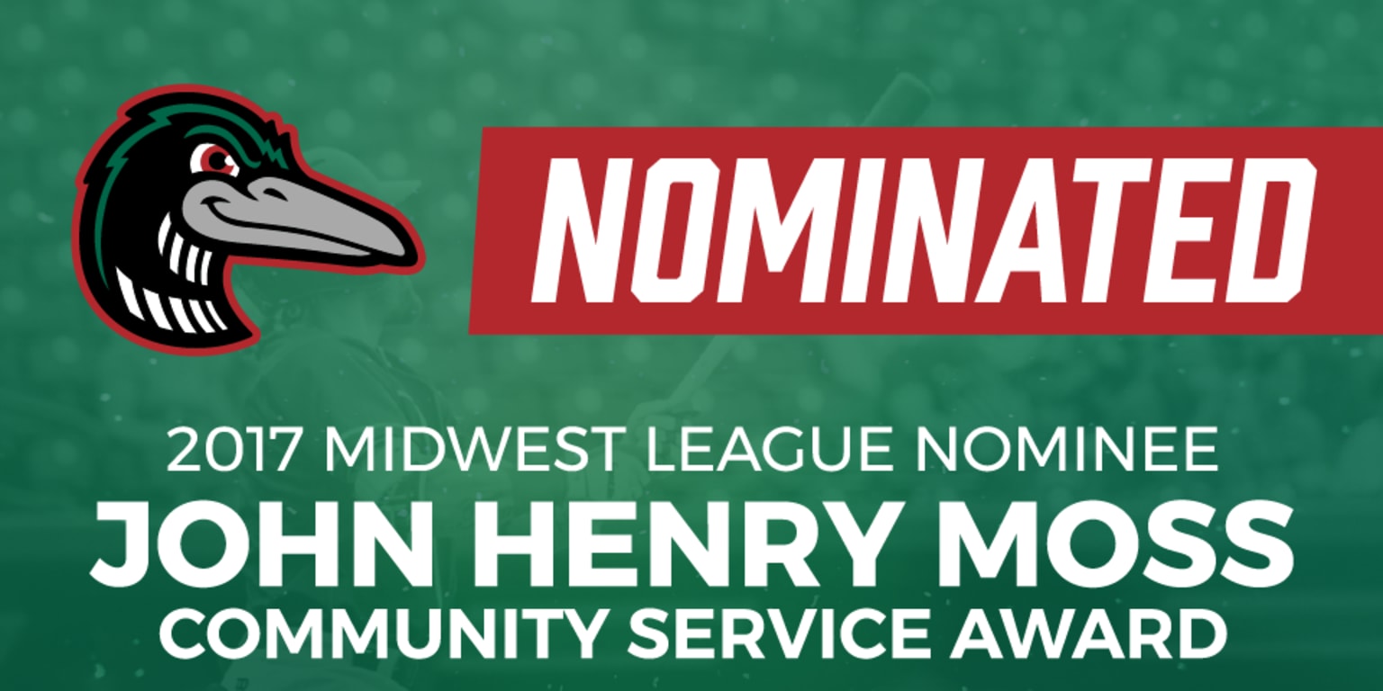 Loons Nominated for MiLB Postseason Award | MiLB.com