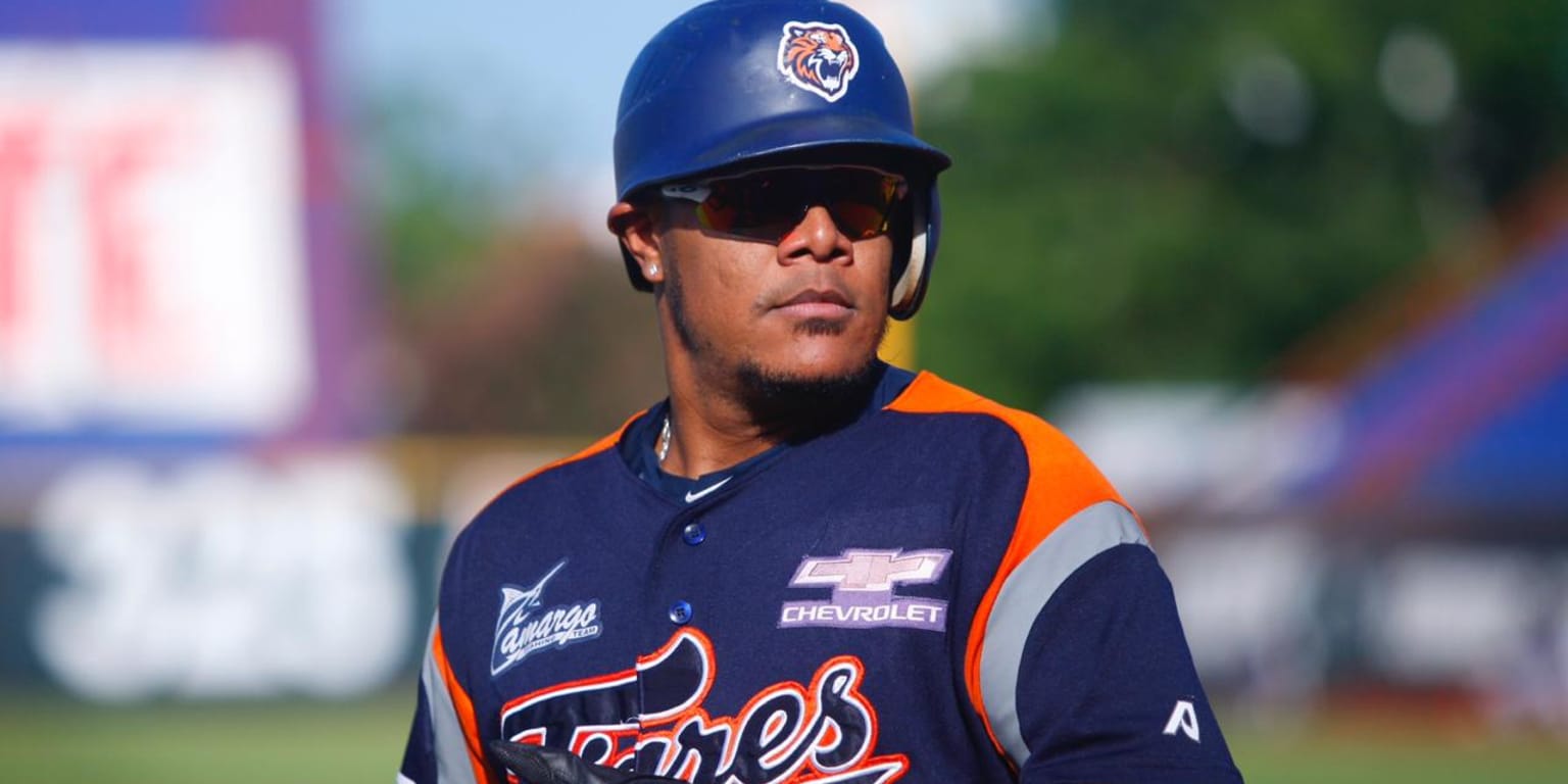 Tigres: Reynaldo Rodríguez listo para romper la temporada 2021 | MiLB.com