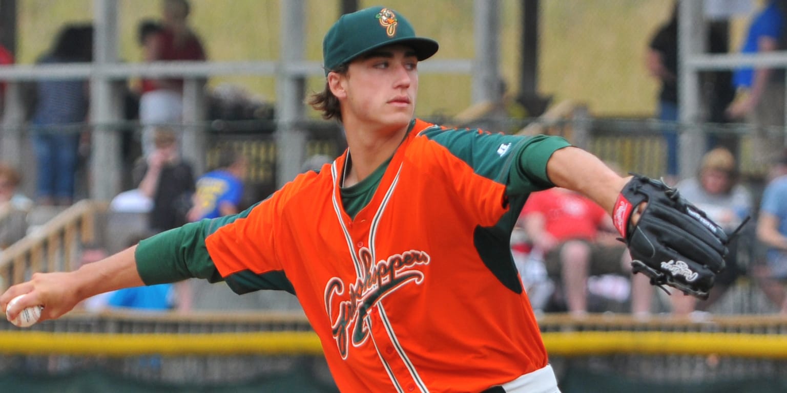 Jordan Holloway tosses five hitless innings for Greensboro Grasshoppers ...