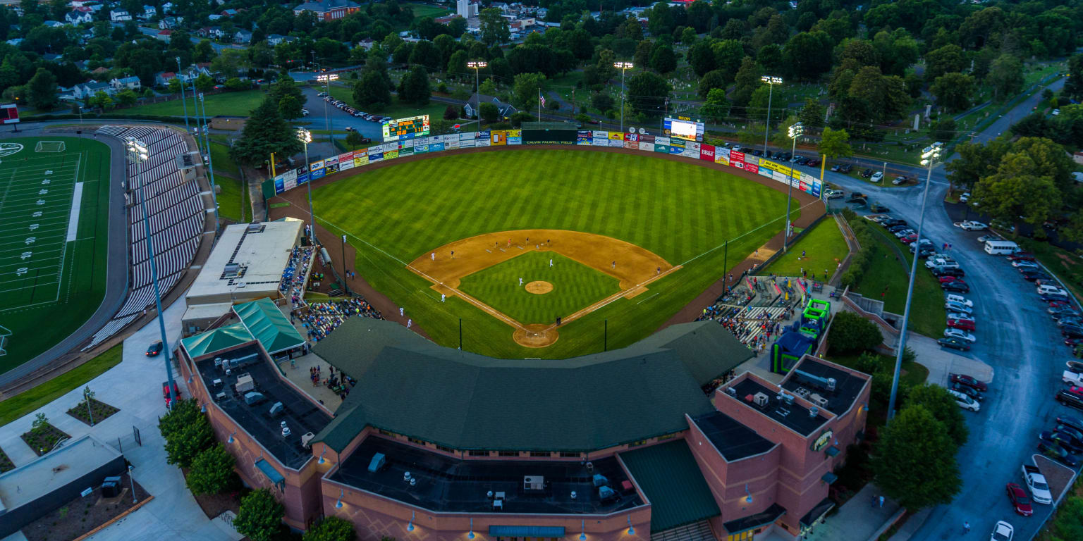 Hillcats announce front office additions | MiLB.com