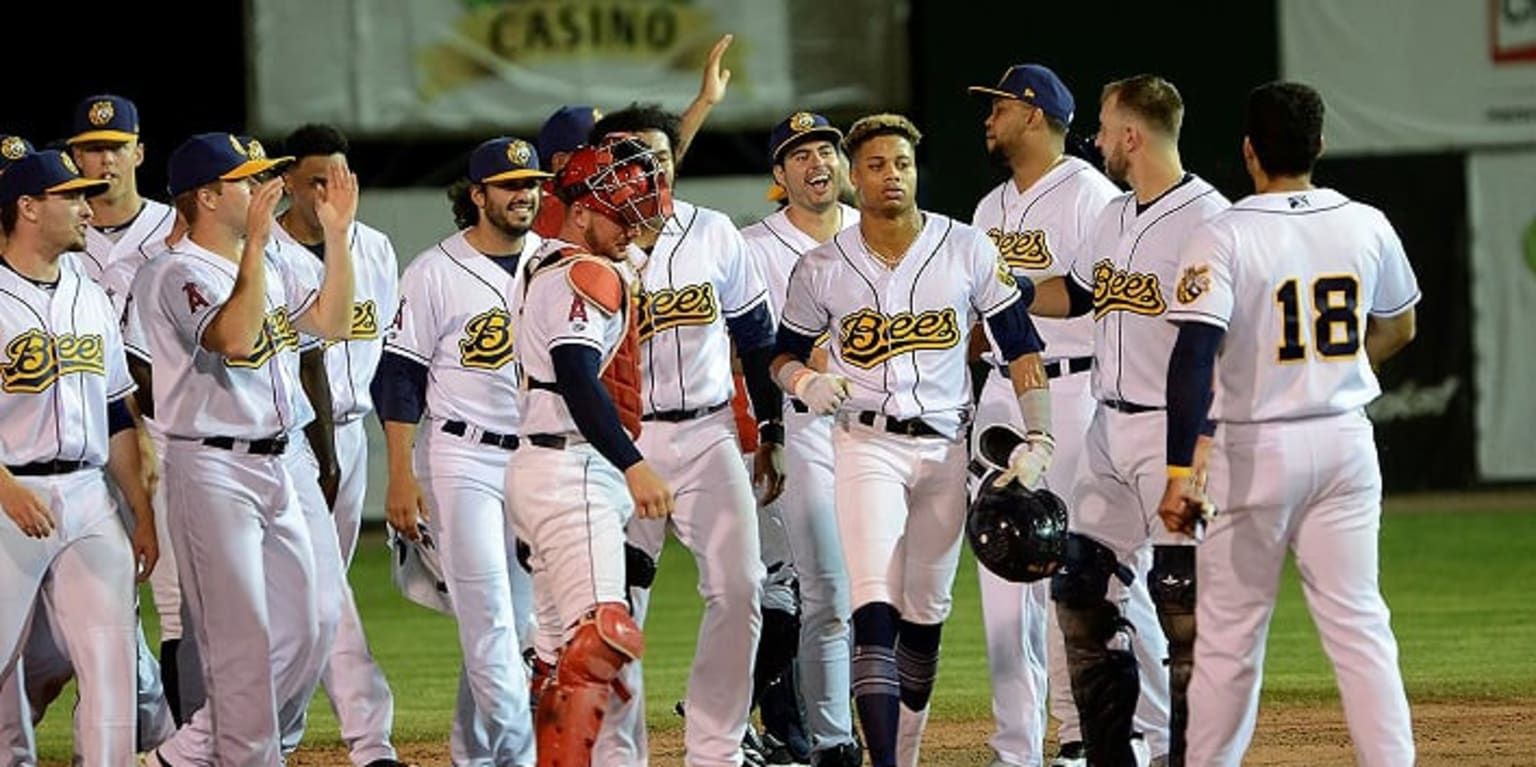 Bees win series opener in extras, 5-4 | MiLB.com