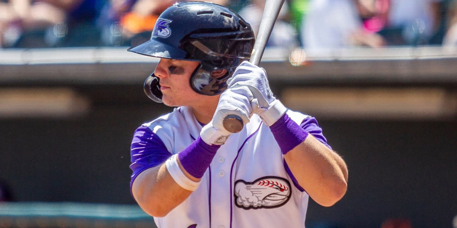 Chicago White Sox prospect Steele Walker hits for the cycle | MiLB.com