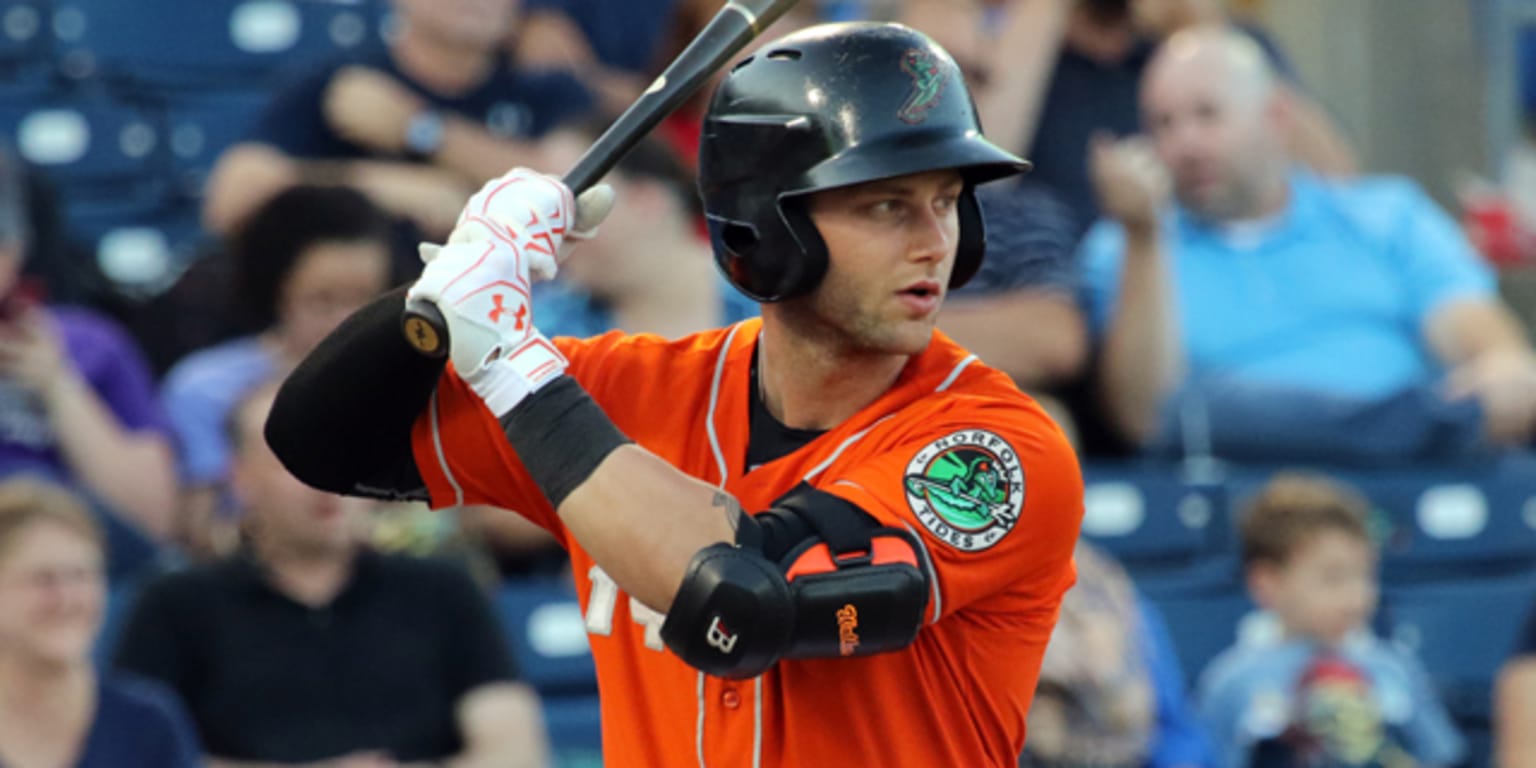 LHP Richard Bleier acquired by Orioles | MiLB.com