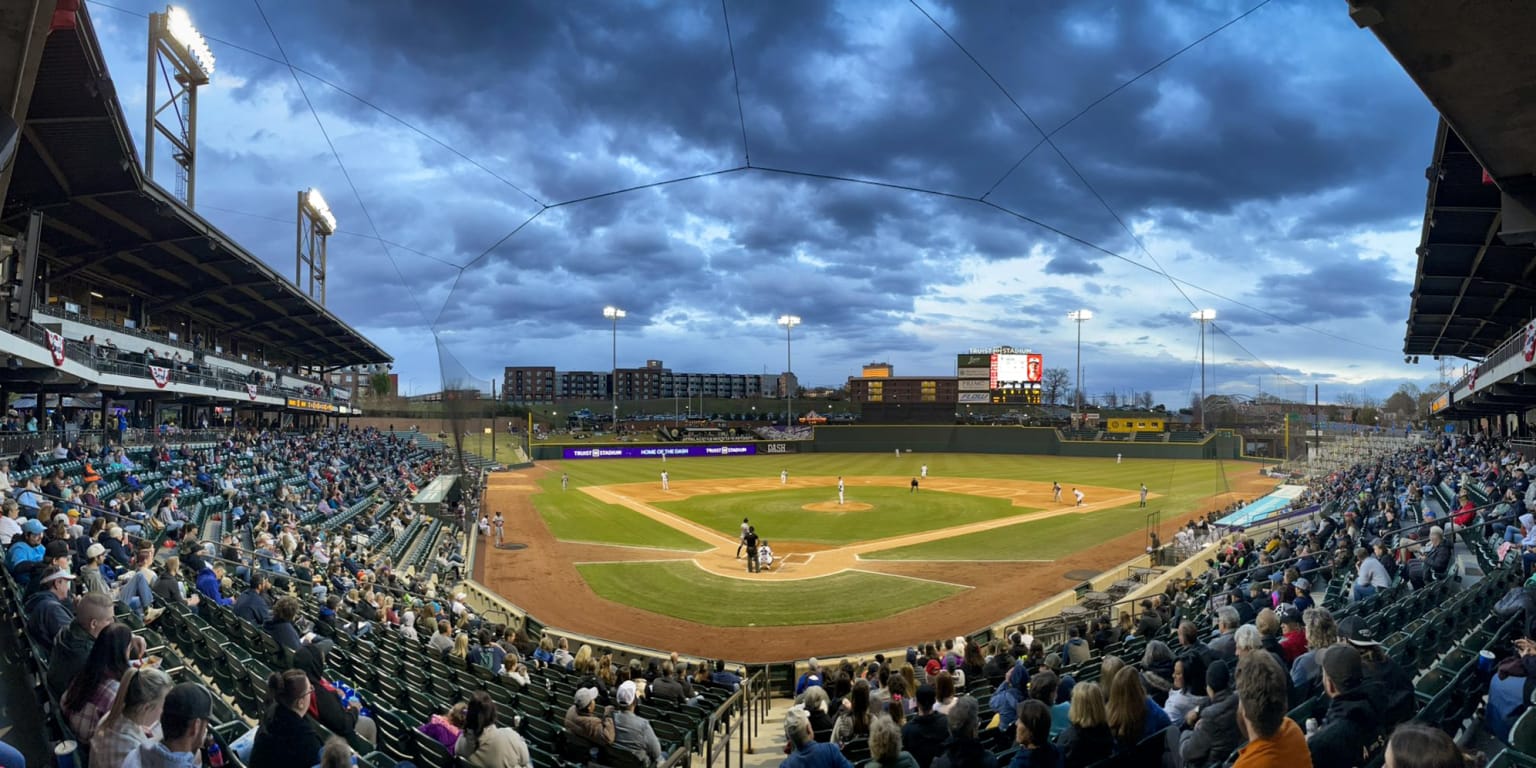 Adam Hackenberg Powers Winston-Salem to Opening Day W | MiLB.com