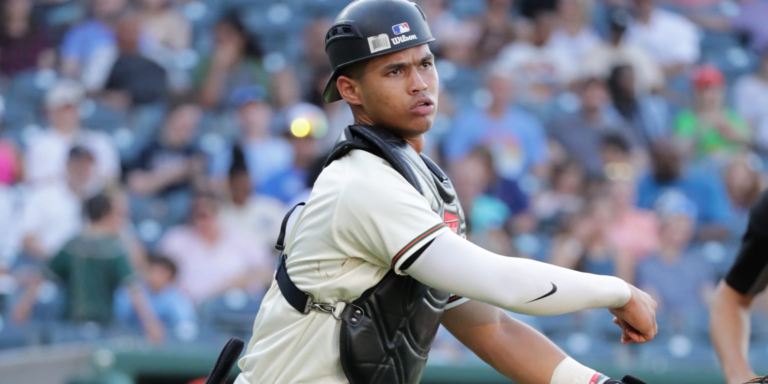 Cyclones pitcher fans 10 in win over Hoppers | MiLB.com