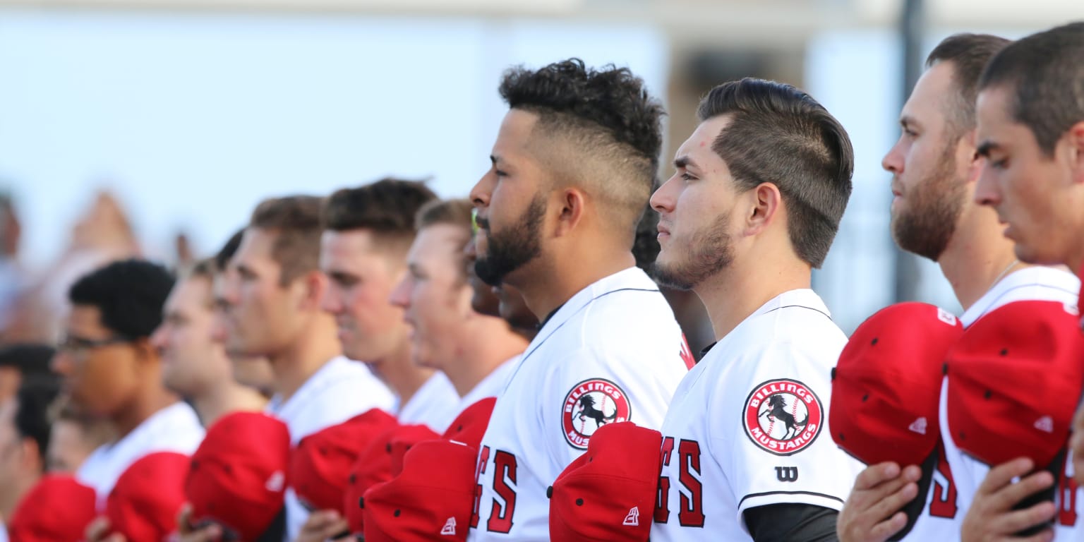 Mustangs Join MLB Partner League | MiLB.com