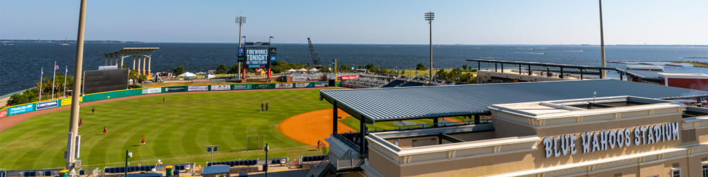 Ticket Options | Blue Wahoos
