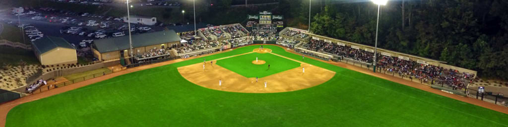 Motor Mile Field at Calfee Park | Pulaski River Turtles | Pulaski River ...