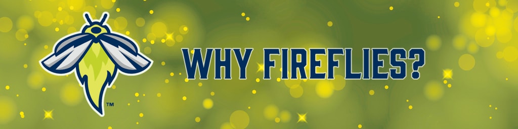 Why Fireflies? | Fireflies