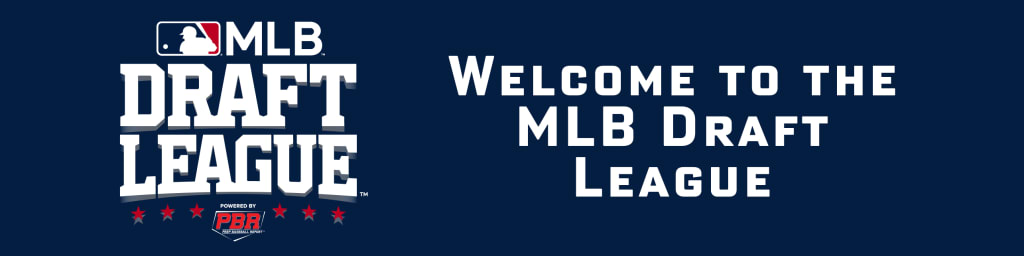 MLB Draft League | MLBDraftLeague.com