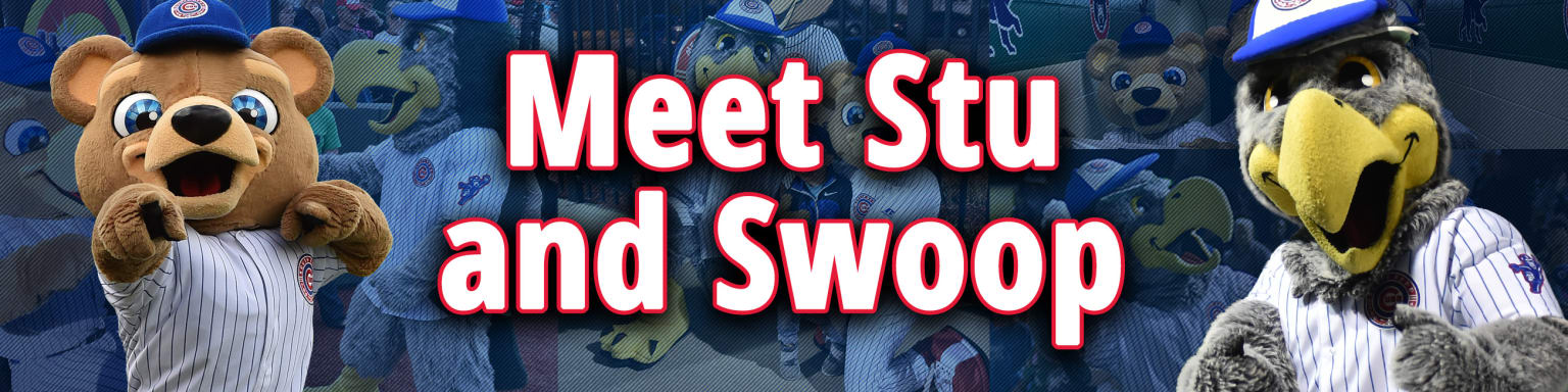 Meet Stu and Swoop | Cubs