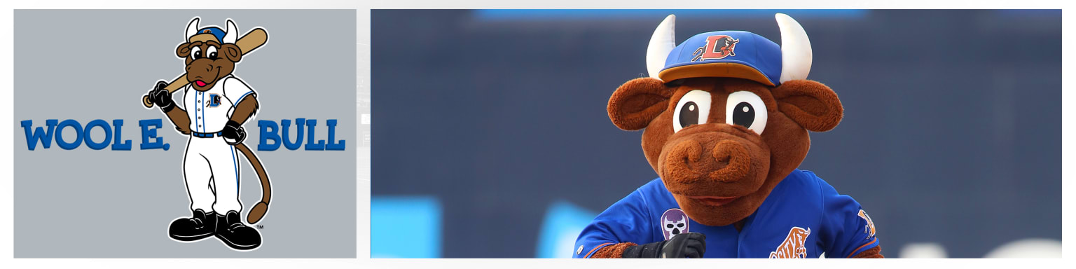 Durham Bulls Wool E. Bull | Bulls