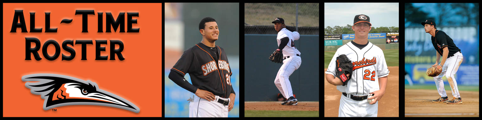 Shorebirds All-Time Roster | Shorebirds