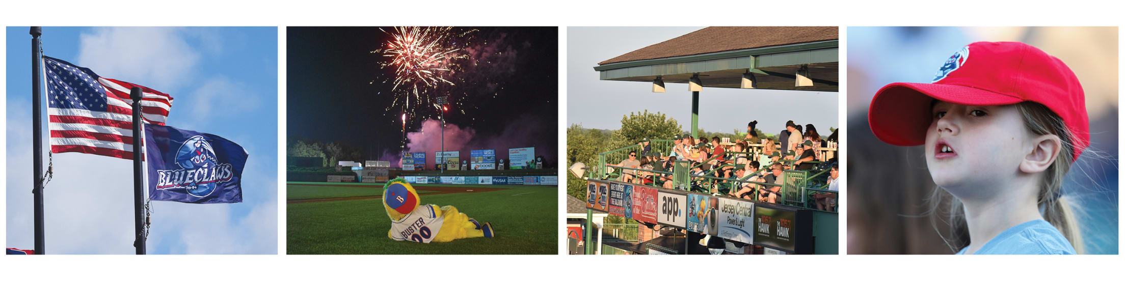 About the BlueClaws | BlueClaws