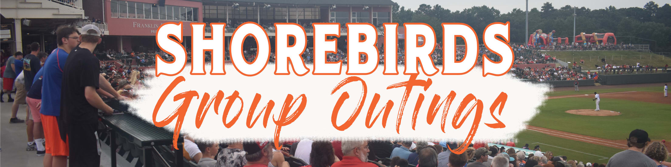 Shorebirds Group Outings | Shorebirds