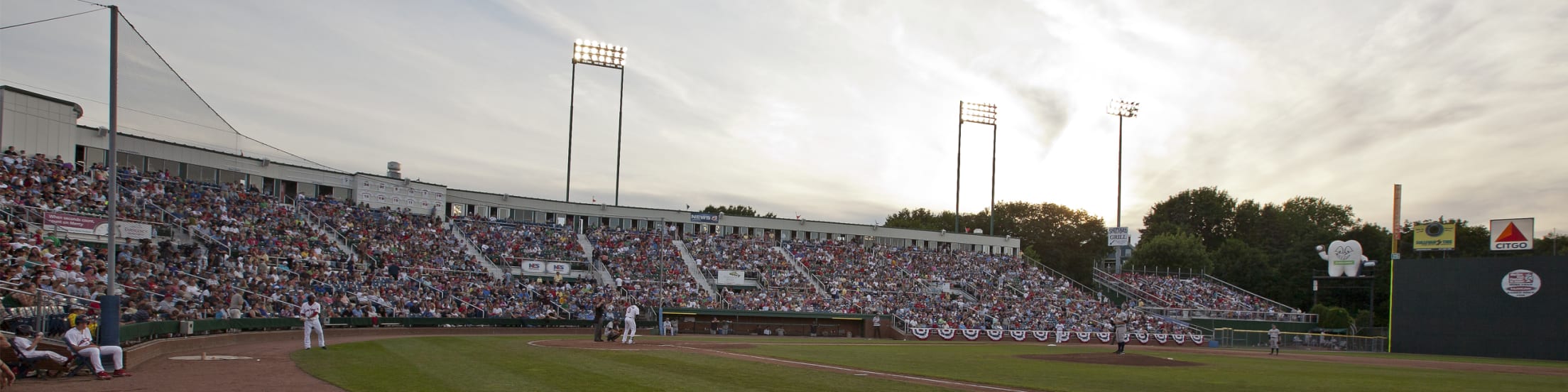 Sea Dogs Weather | Sea Dogs
