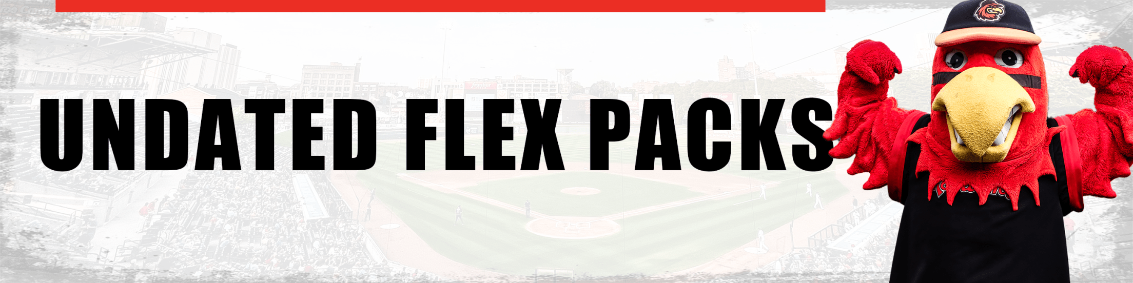 Flex Packs | Red Wings
