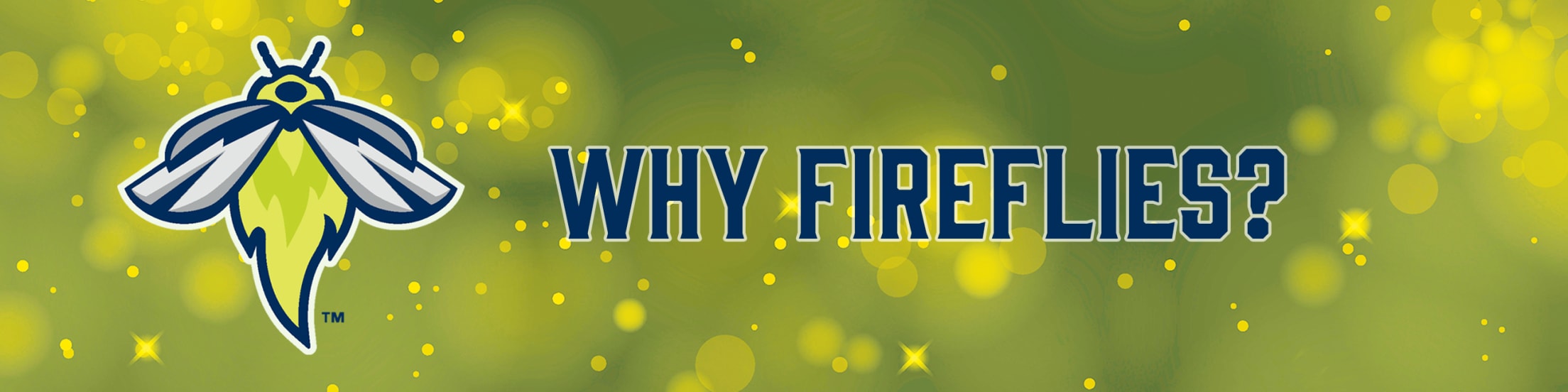 Why Fireflies? | Fireflies