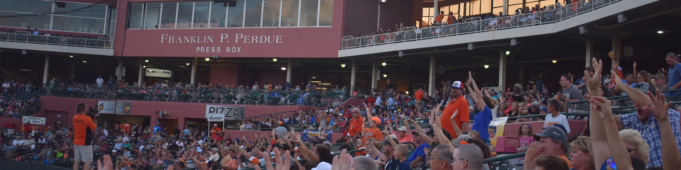 Shorebirds Ticket Options | Shorebirds