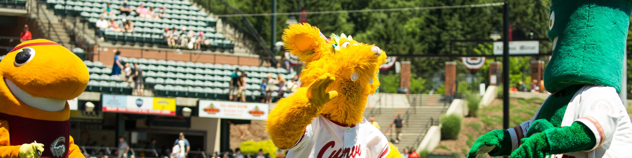 Altoona Curve Mascots | Curve