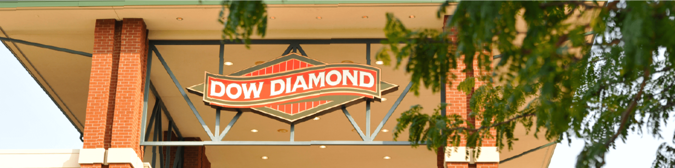 Dow Diamond All-Stars | Loons