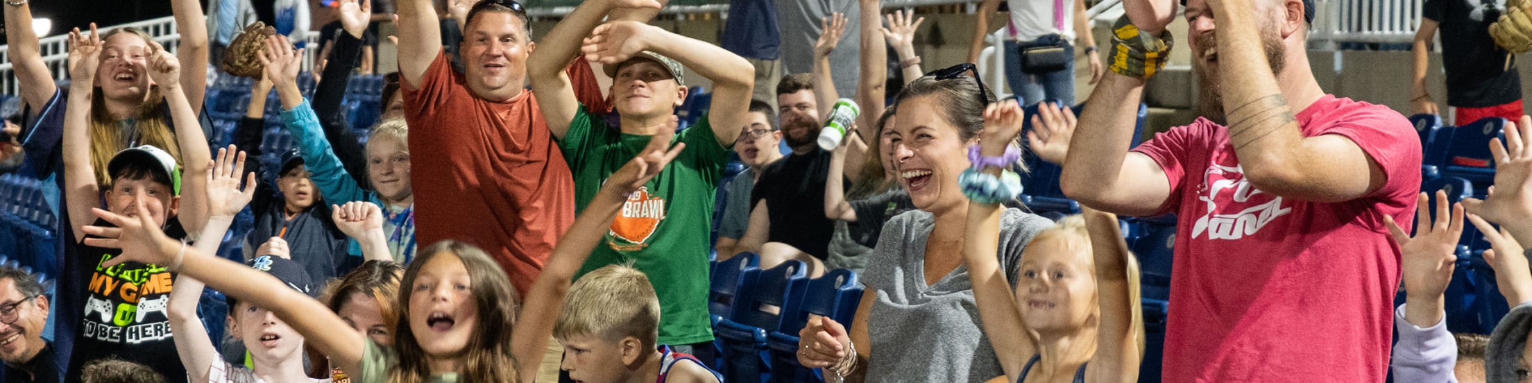 Wilmington Blue Rocks Season Seats | Blue Rocks