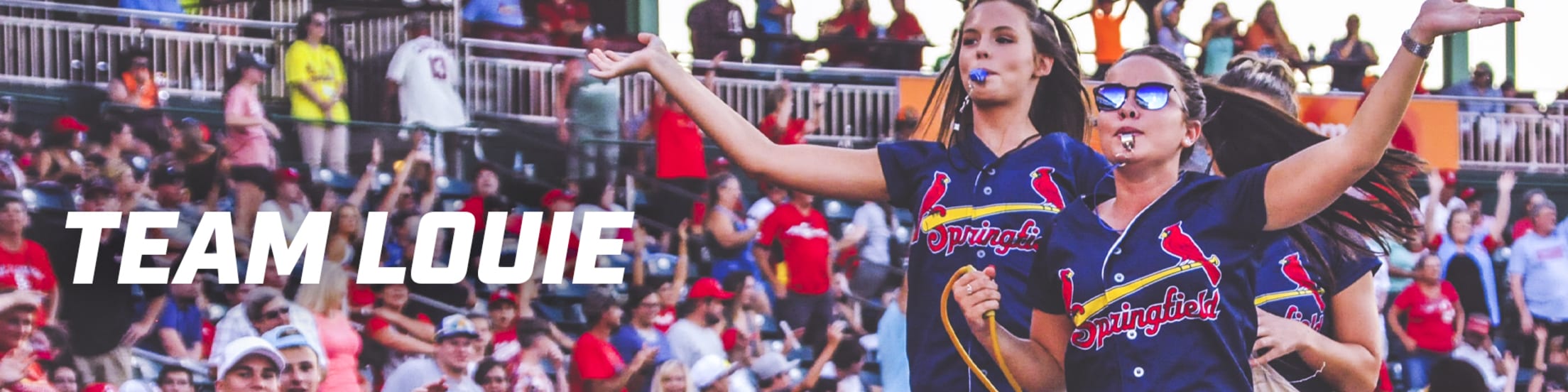 Team Louie | Cardinals