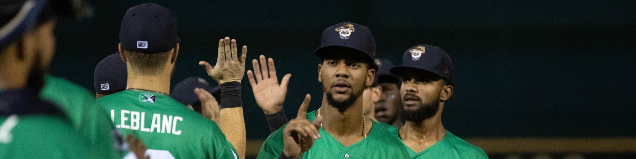 Dallas Stars Night | RoughRiders