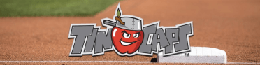 Why TinCaps? | TinCaps