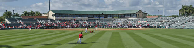 The Official Site of the Florida Complex League | Florida Complex League