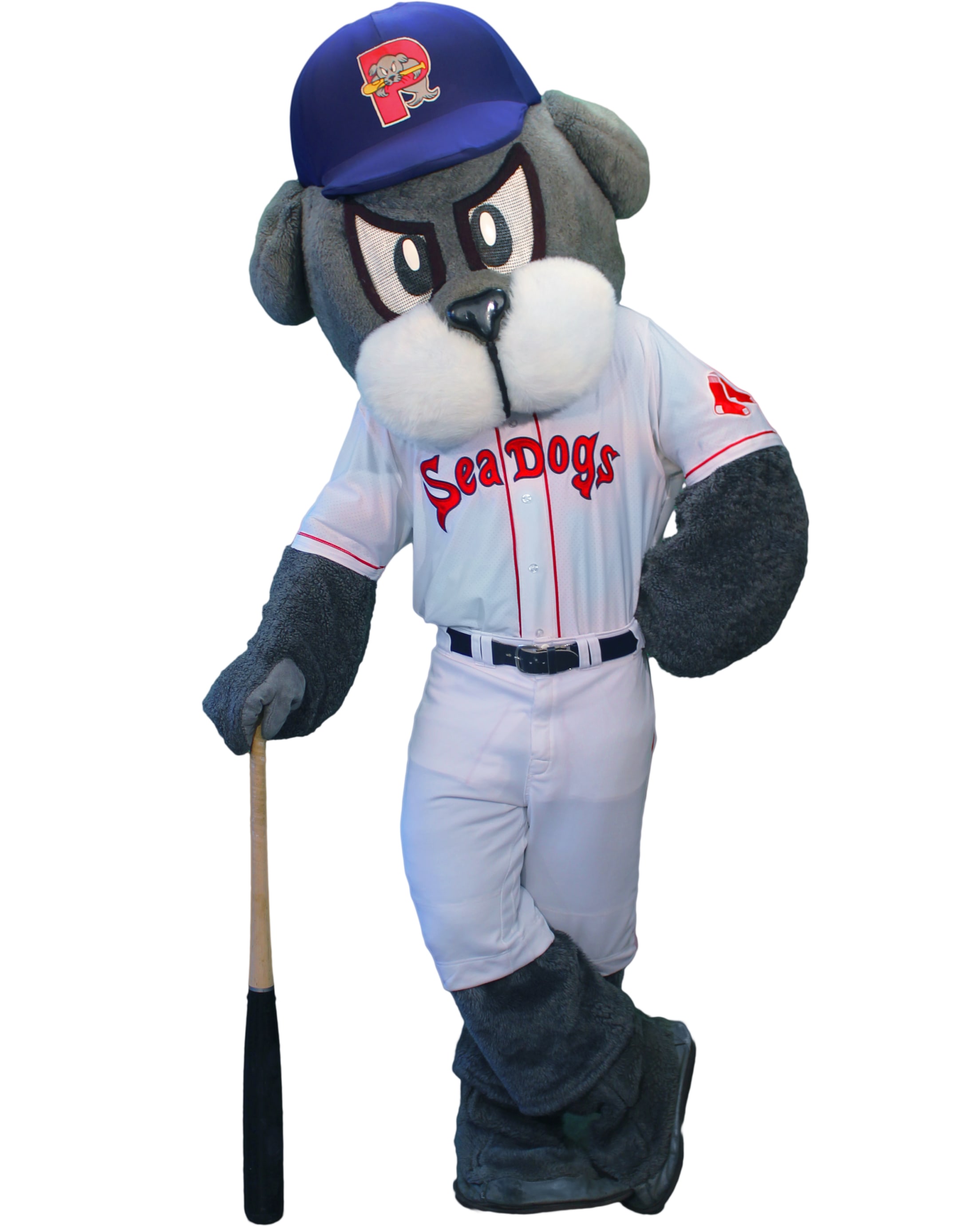 Slugger's Reading Challenge | Sea Dogs