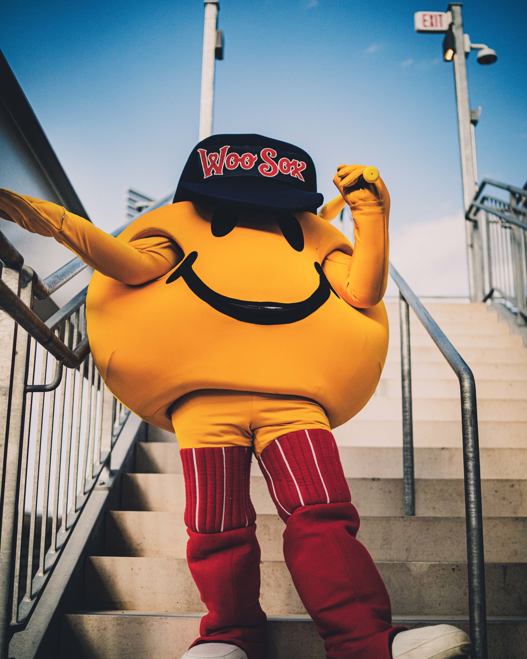 Smiley Ball & Woofster | Red Sox