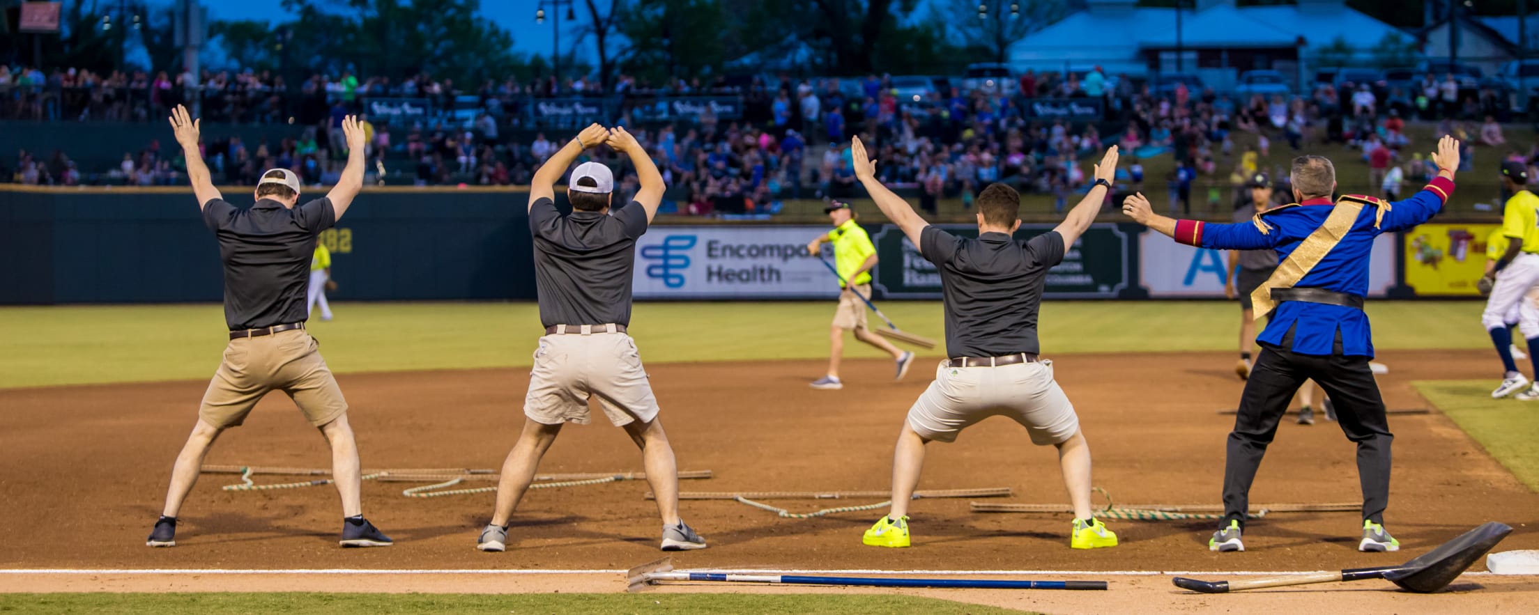 Fly Guys | Fireflies