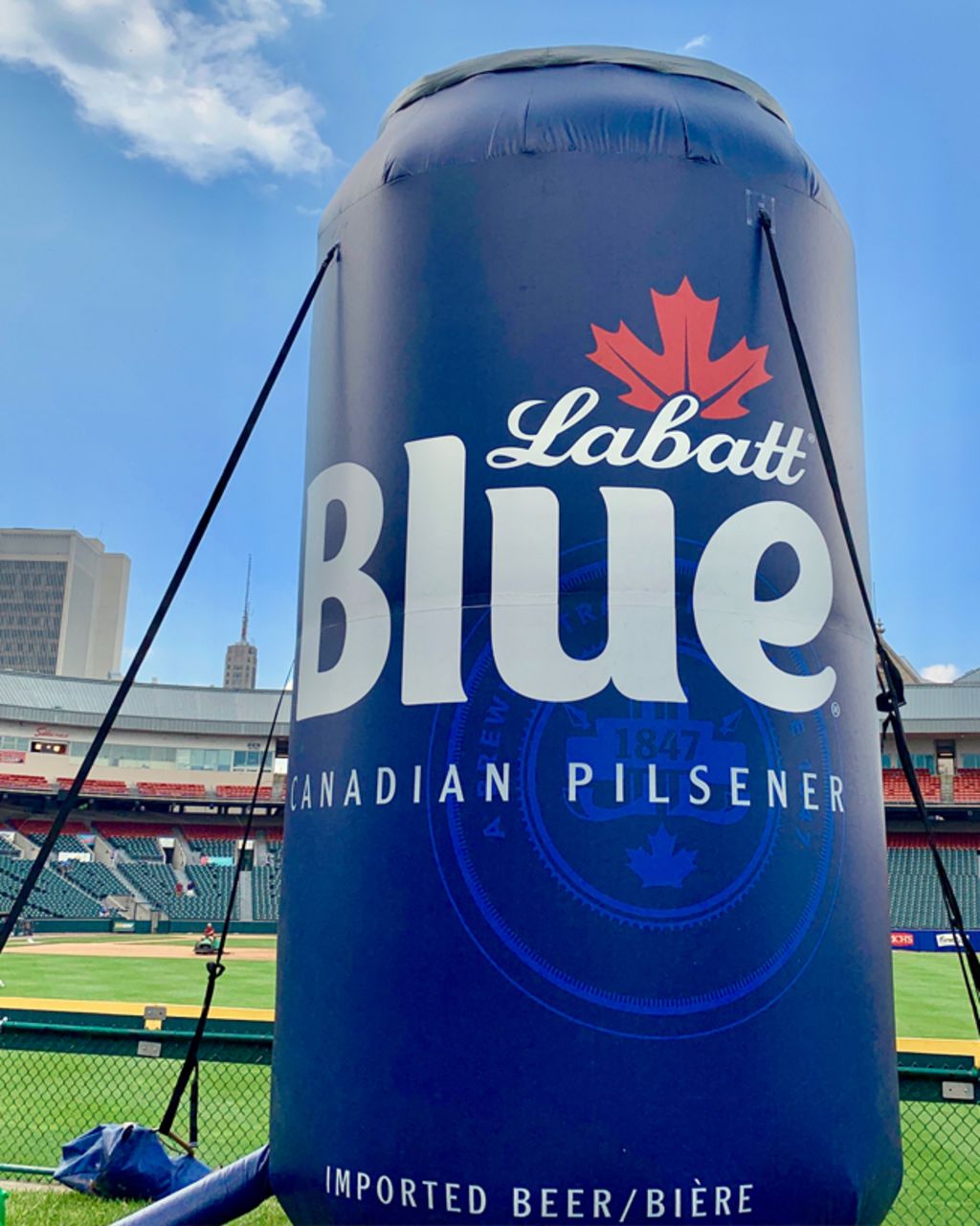 Bisons Labatturday Nights | Bisons