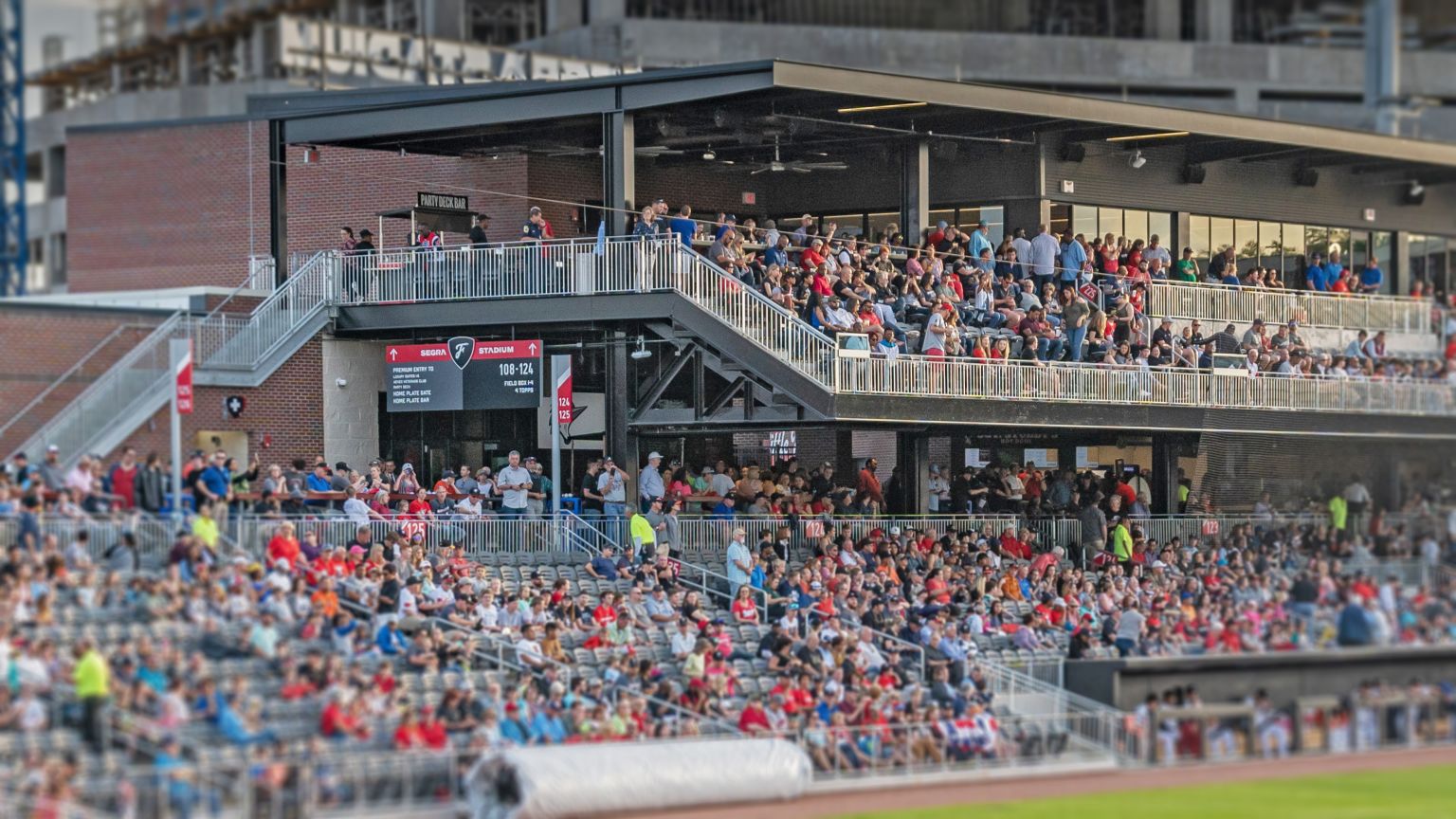 Corona Party Deck | Woodpeckers