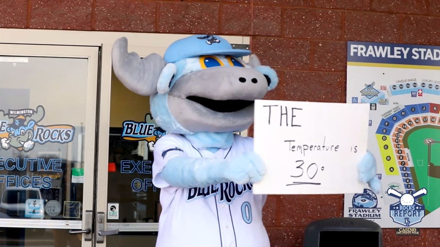 Rocks Report: 2020 Blue Saturday | 03/05/2020 | Blue Rocks