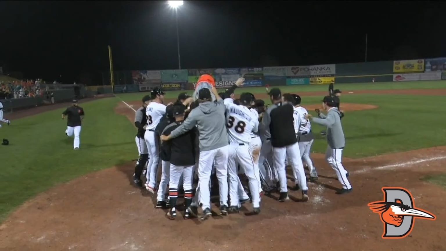 Dear Baseball | 04/07/2020 | Shorebirds