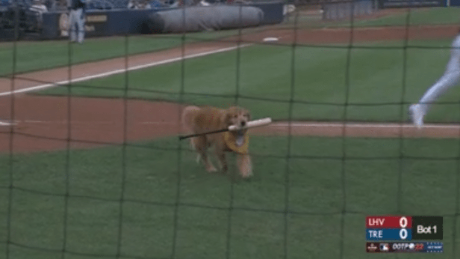 Rookie retrieves bat | 07/15/2021 | Bisons