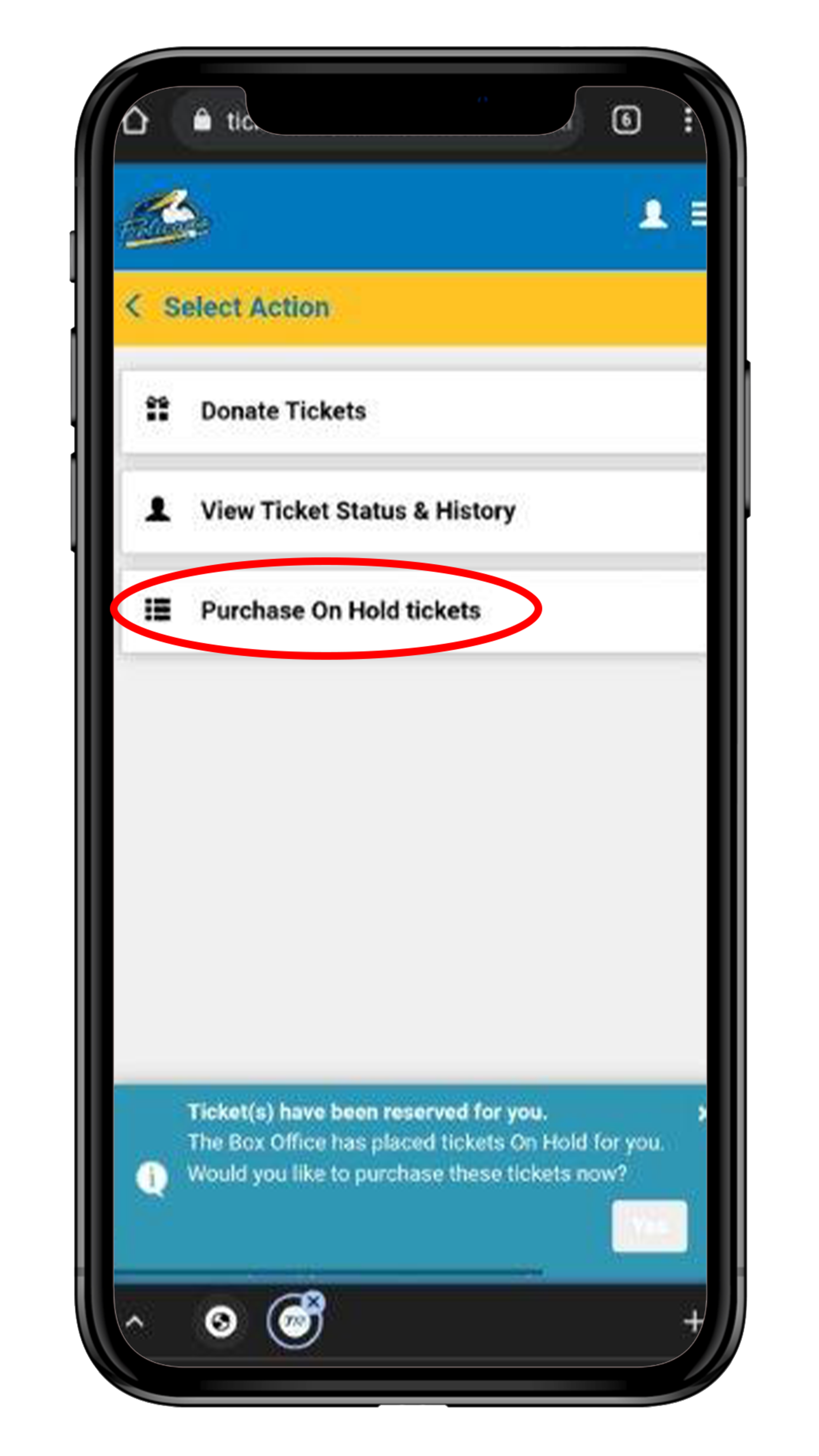 Digital Ticket Guide | Pelicans
