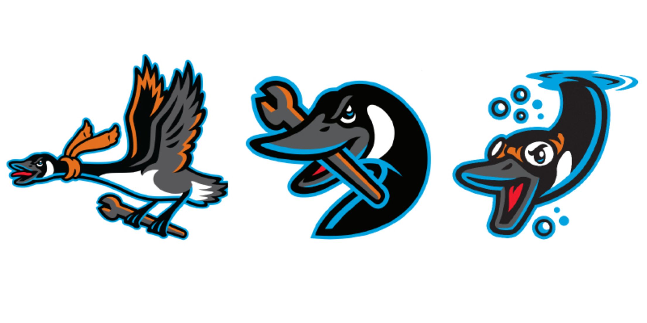 Sky Carp Brand Story | Sky Carp