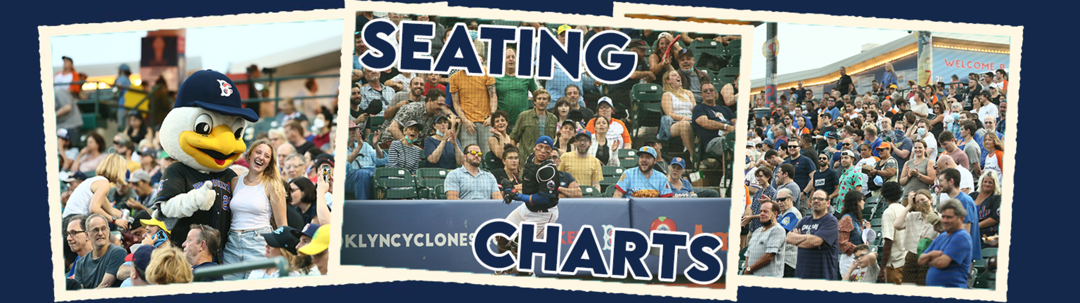 brooklyn | Cyclones