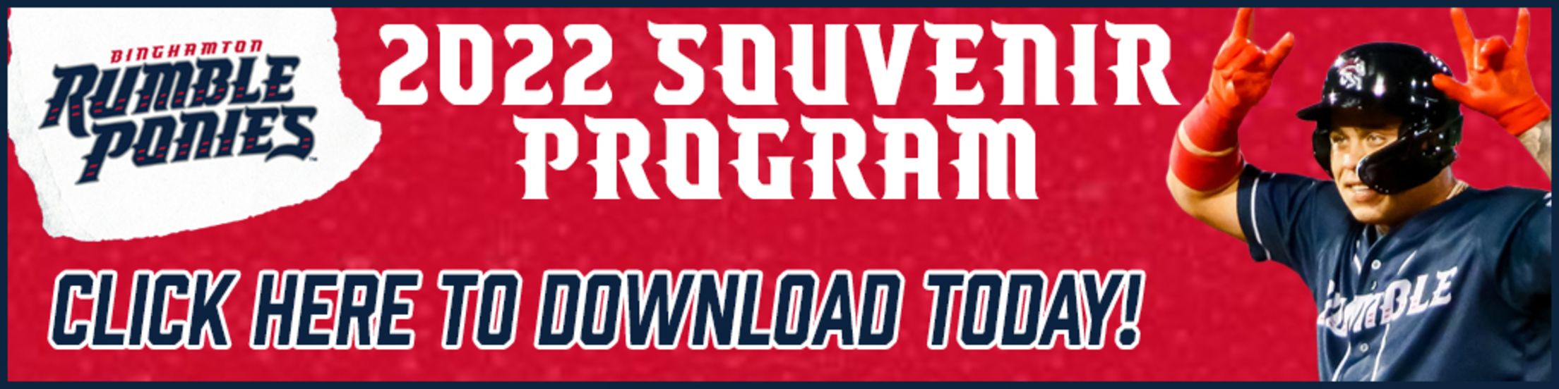 Binghamton Rumble Ponies | MiLB.com