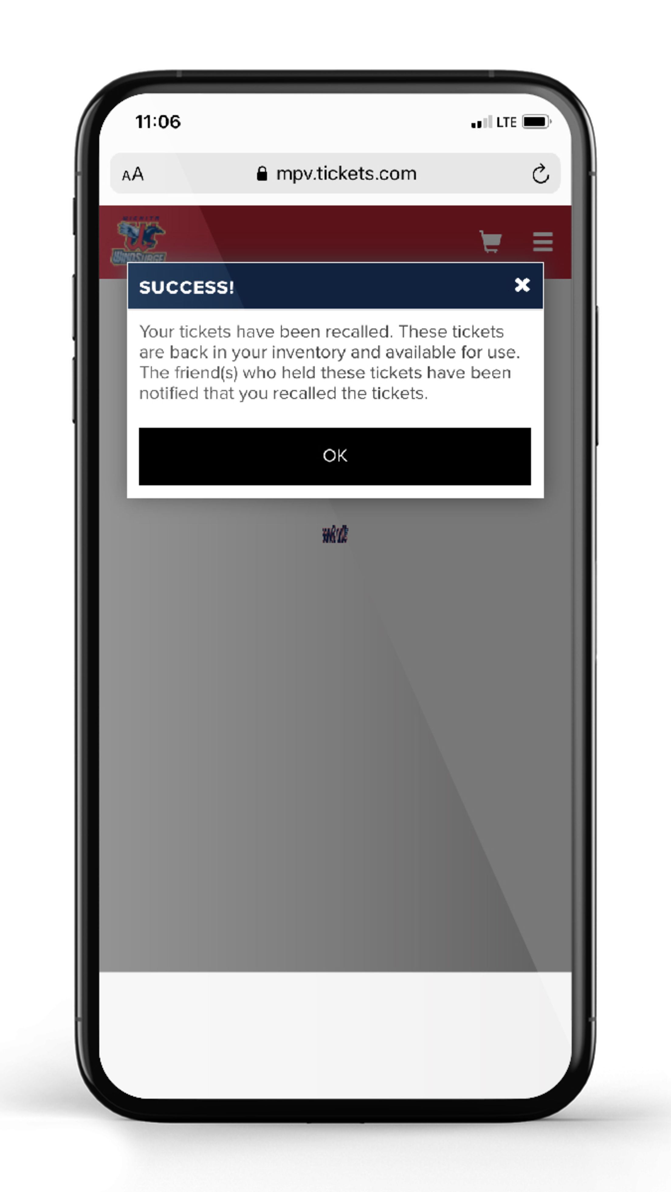 Digital Ticketing | Wind Surge