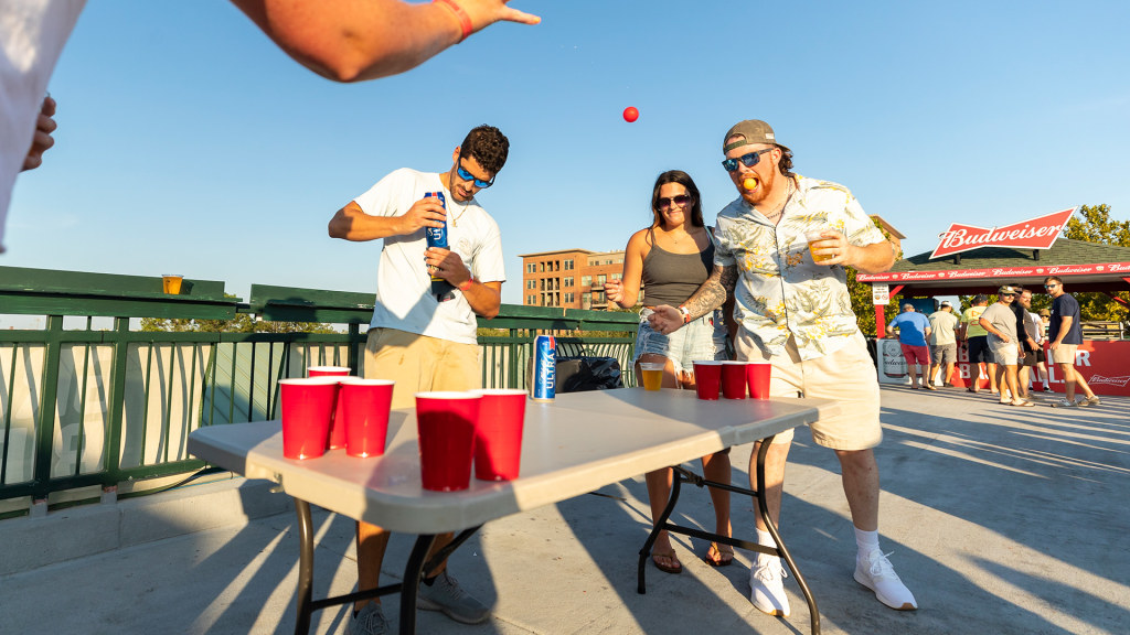 Groups, Picnics, & Suites | RiverDogs