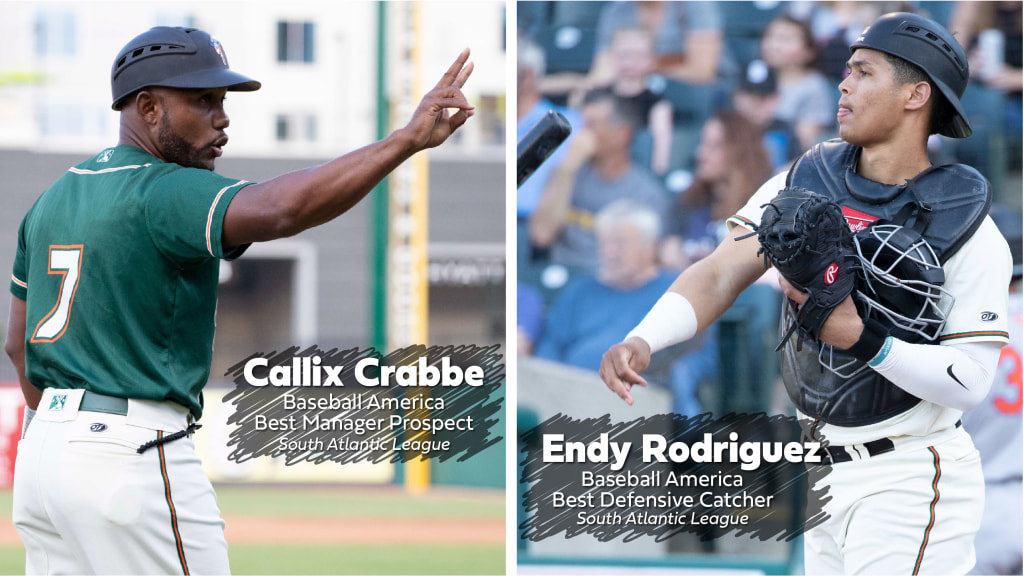 Greensboro Grasshoppers | MiLB.com