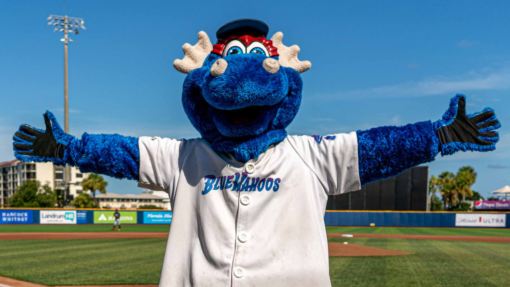 Blue Wahoos Mini Plans | Blue Wahoos