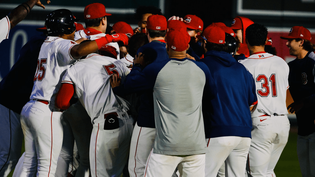 Greenville Drive | MiLB.com