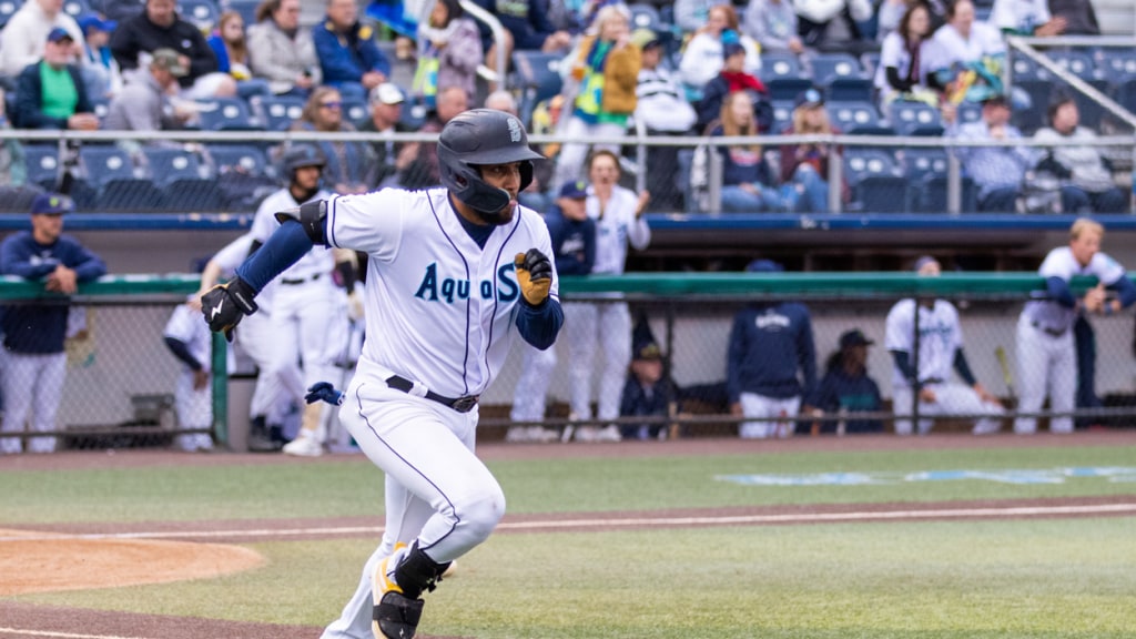 Everett AquaSox Baseball Club | MiLB.com